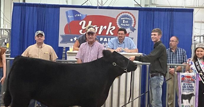 4-H Show Career Ends on High Note at York State Fair | Farm Shows ...