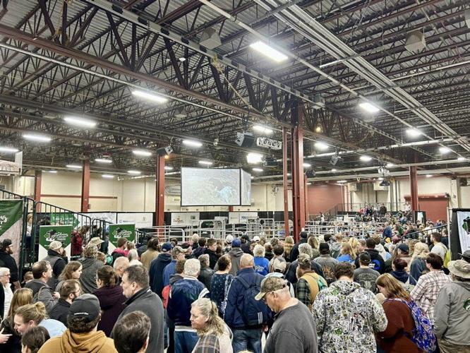 PA Farm Show Calving Corner Shows Passion of Dairy Farmers and ...