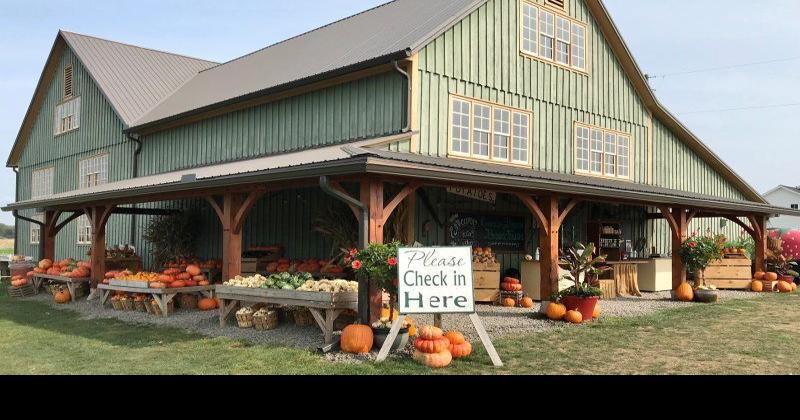 Green Barn Berry Farm a Labor of Love for Family | Farm and Rural ...