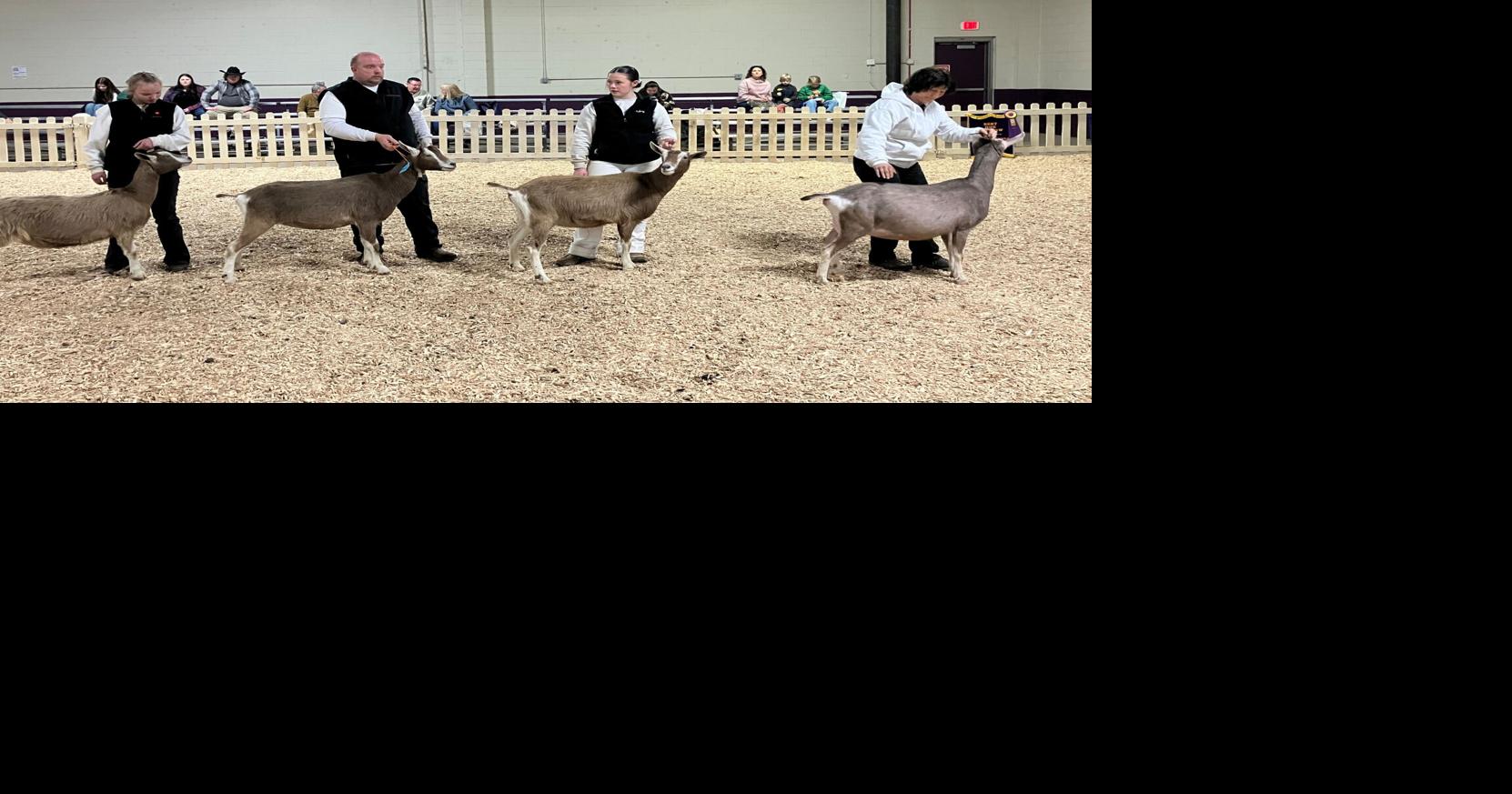 Goat Farmers Praise Animal’s Versatility at PA Farm Show | Farm Shows ...