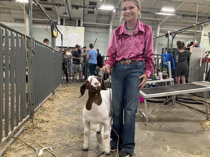 4-H Show Career Ends on High Note at York State Fair | Farm Shows ...