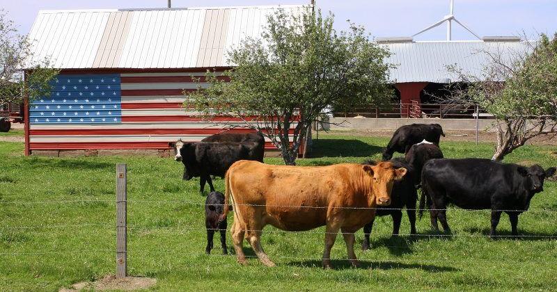 Your Experiences Don't Define What It Means to Be American [Opinion ...