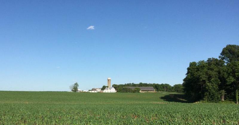 A distinctive mission for dairy at Restful-Acres | Dairy News ...