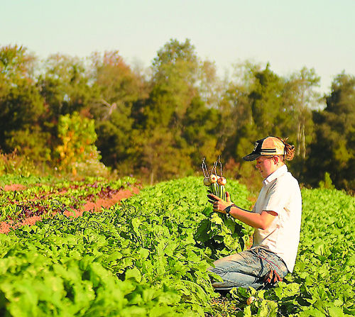 Willowsford Suburban Farm Wraps Up Second Production Year ...