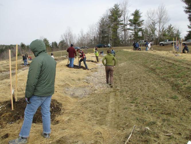 Apple Whisperer John Bunker Explores Maine for Forgotten Heritage Apple ...