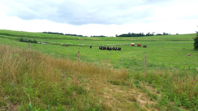 Conservationists Honor Clean Water Farms | Farming and Agricultural ...