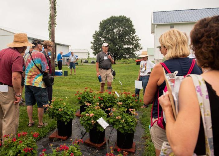 Flower Trial Field Day Showcases Blooms | Farm Shows, County Fairs ...