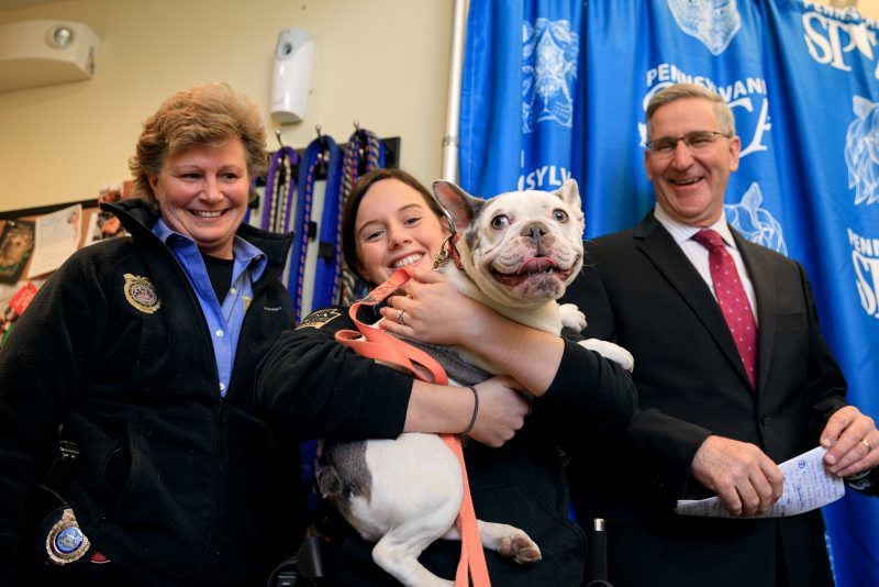 How Much Does A Pa Dog License Cost