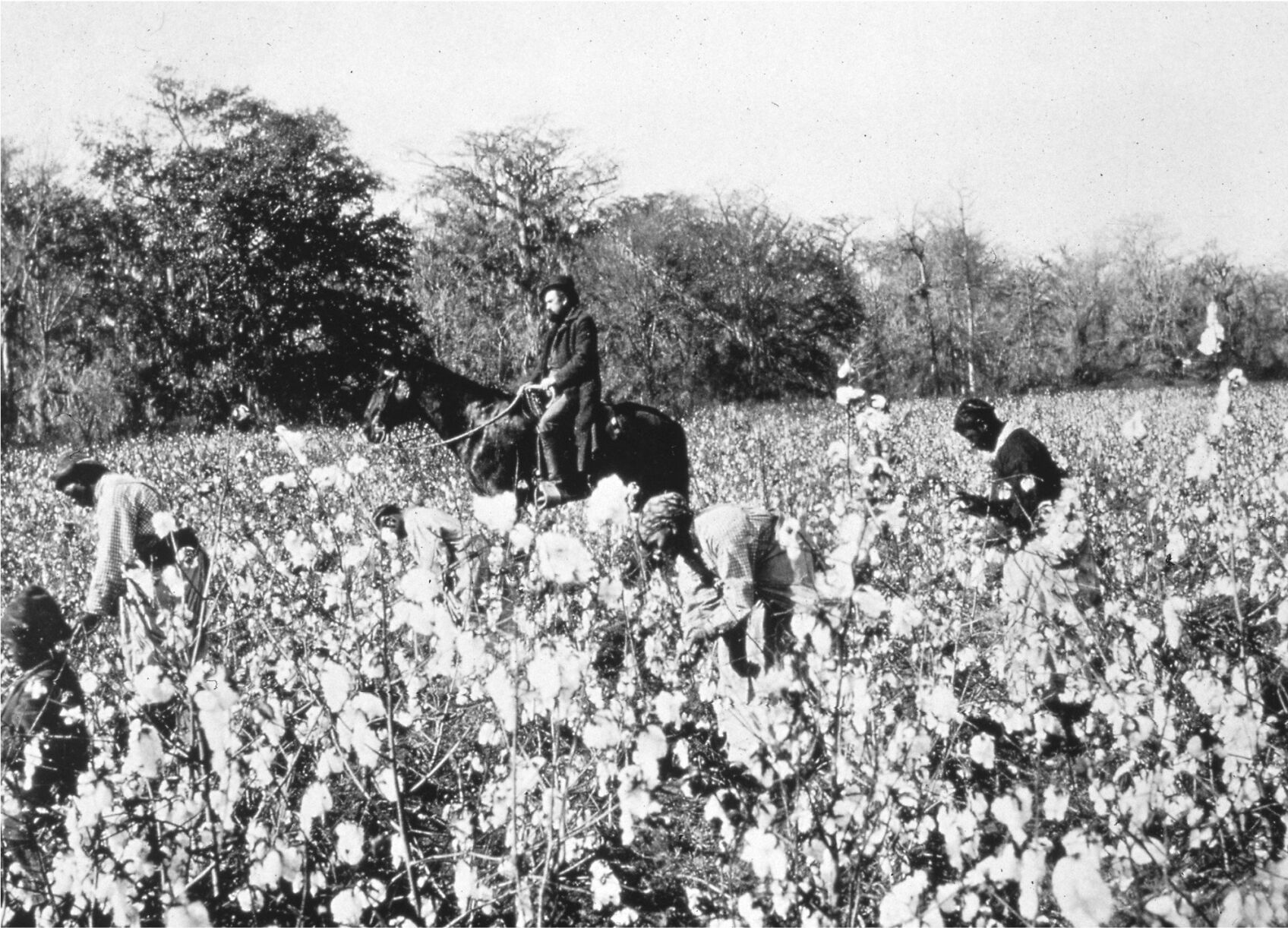 Times Have Changed for the Better [Opinion] | | lancasterfarming.com
