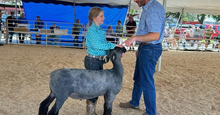 Allentown Fair Lamb Judge All About Educating | Farm Shows, County ...