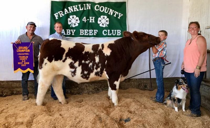 Champions Crowned at 4-H Beef Roundup | Agriculture Education and Youth ...