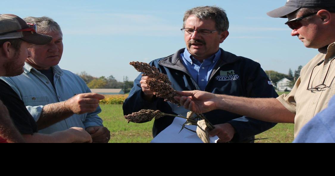 Hybrid Rye Leads Topics at Field Day | Farming and Agricultural News ...