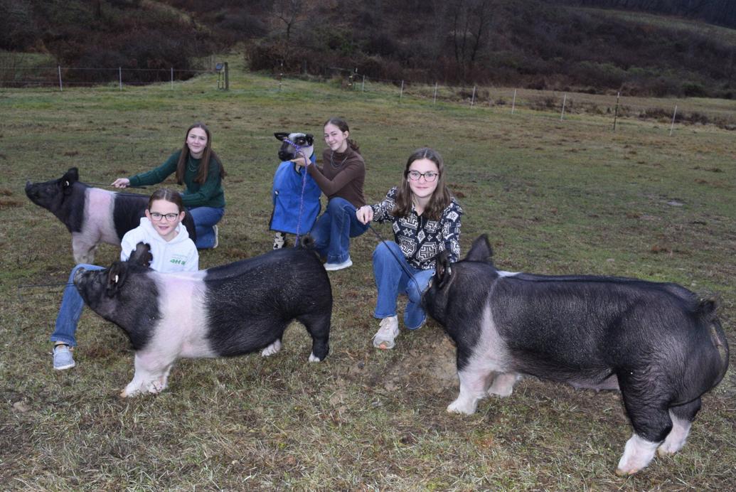 Four Lancaster Sisters Carry On Family Legacy of Livestock Showing at ...