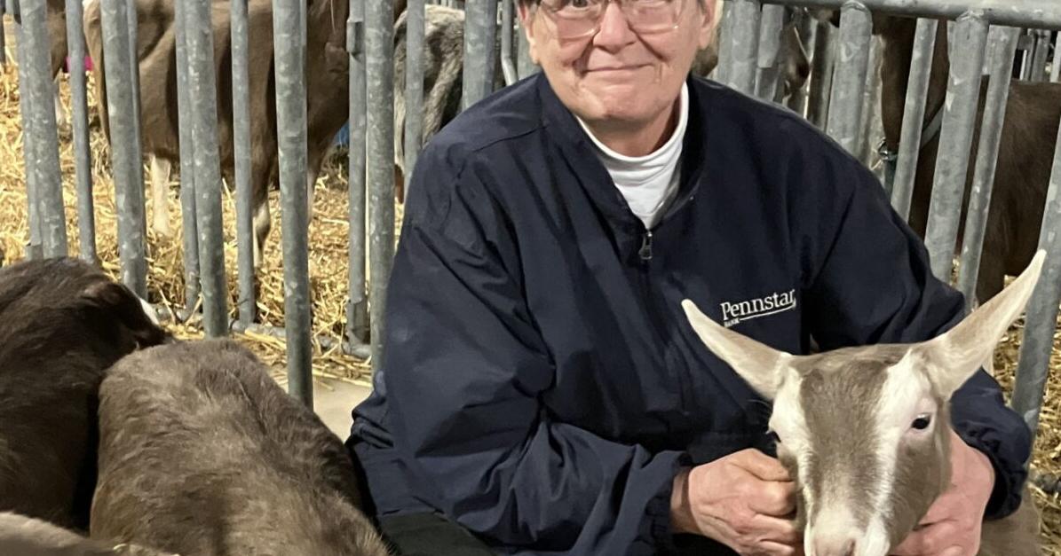 PA Farm Show Highlights Slowly Growing Goat Industry | Livestock News ...