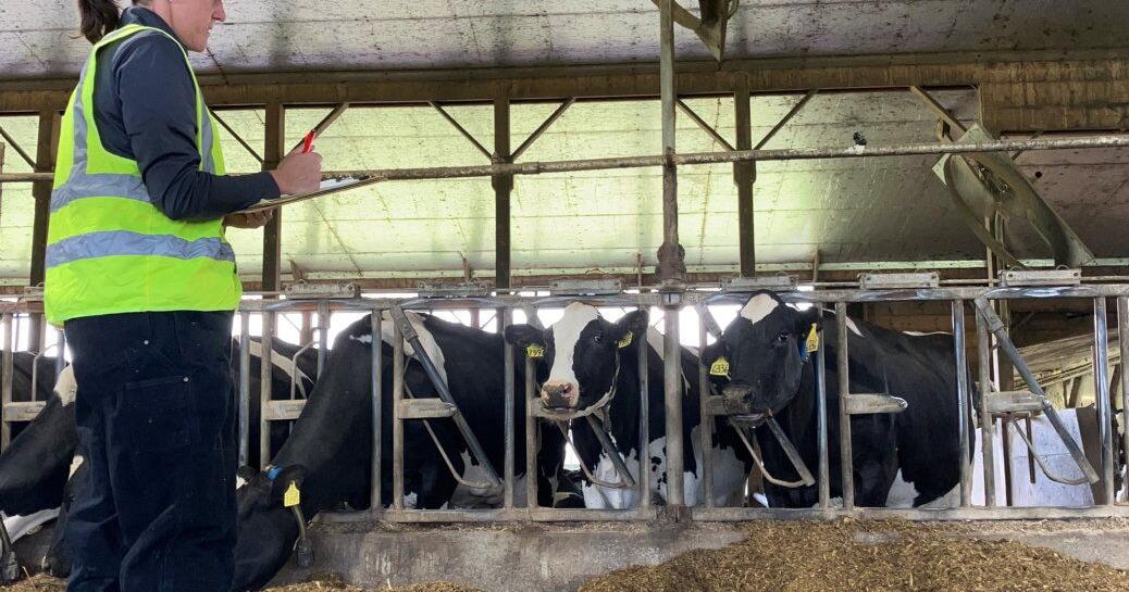 Pro-Dairy Animal Welfare Specialist Helps Farmers Meet FARM Standards ...
