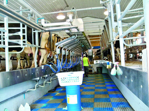 Rynd Home Farm: the Eighth Generation Continues the Tradition | Dairy ...