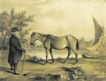 Horses & History: Old Billy, Oldest Horse Ever on Record | Horse News ...
