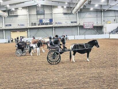 Pennsylvania State 4-H Horse Show Gallops into October | Horse News and ...