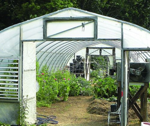 Trellis Gives Lift to Vegetable Production | Farming and Agricultural ...