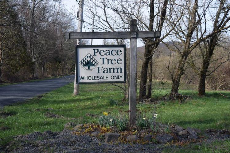 Greenhouse Chooses Biology Over Chemistry for Pest Control | Farming ...