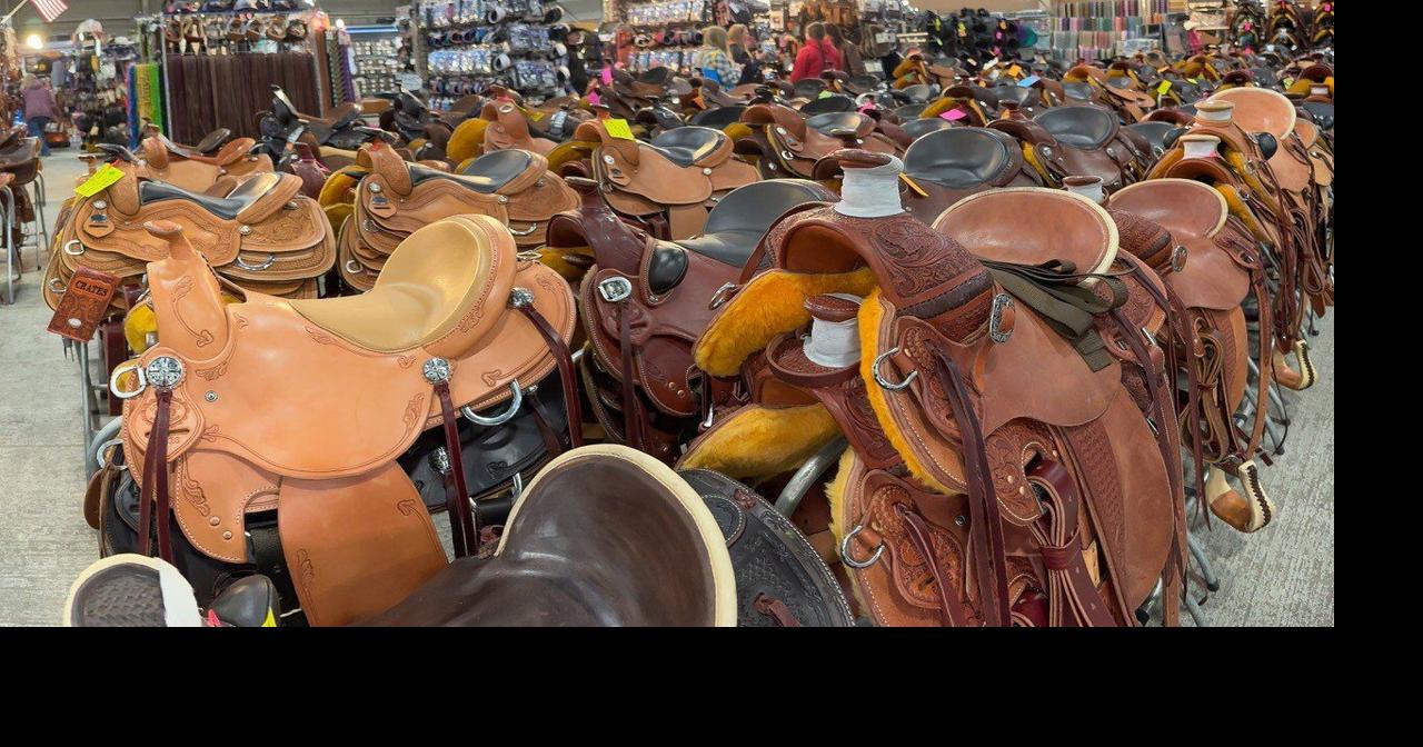 Watch Equine Demonstrations From the 2024 Horse World Expo | Community ...