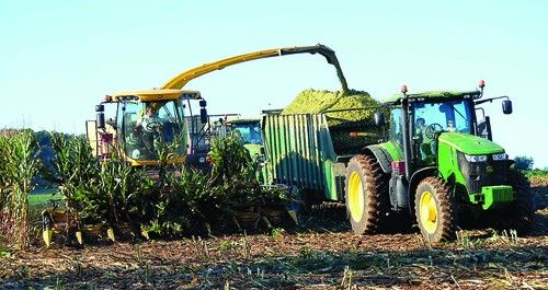 Silage Cutting Just Getting Started | Farming and Agricultural News ...
