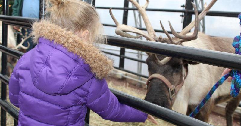 The Flight of the Reindeer | Farm and Rural Family Life ...