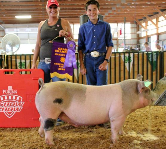 Chester 4-H Livestock Sale Smashes Record | Farm Shows, County Fairs ...