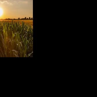 Foreign Ownership of US Farmland on the Rise | Farming and Agricultural ...