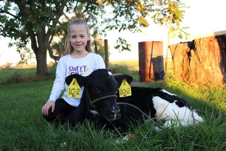 Gauker Beef Adapts as Changes Arrive | Farm and Rural Family Life ...