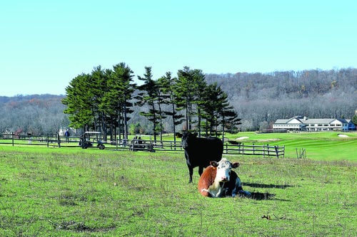 Farmer Struggles to Keep Farm Through Bankruptcy | Farming and ...