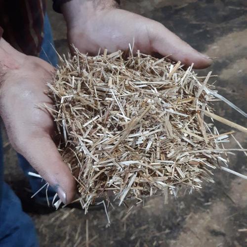 How Switchgrass Transformed Heating at a Virginia Hospital ...