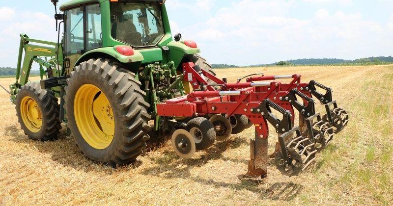 How to Manage Forages to Insure Long Stand Life | Field Crop News ...