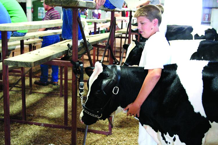 Rockingham County Fair | | lancasterfarming.com