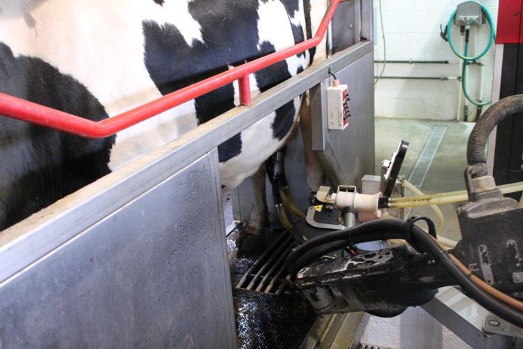 Folks at Lehi Creek Farm Have Grown Fond of Robot | Farming and ...