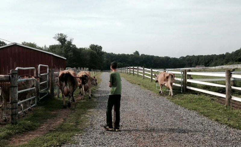 Doing It All at Flint Hill Farm | Farming and Agricultural News ...