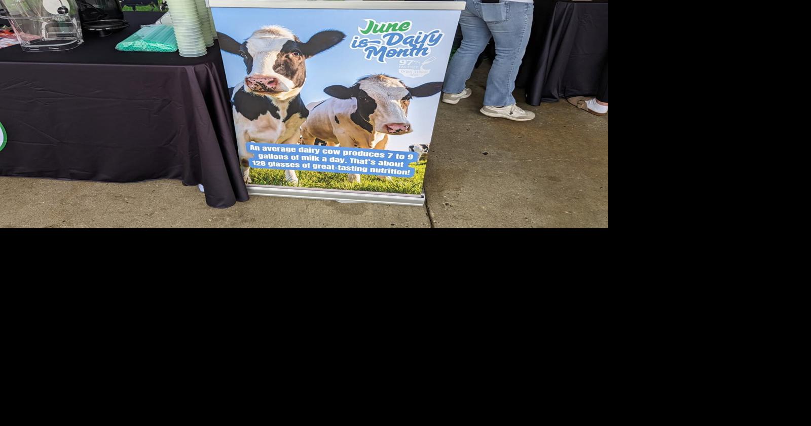 Dairy Groups Take Whole Milk Message Directly to Consumers ...