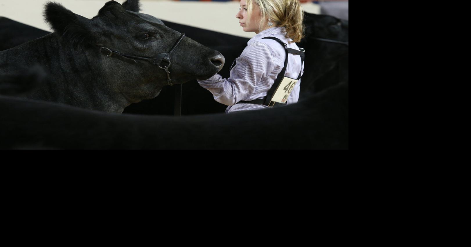 Scenes From the 2023 Keystone International Livestock Exposition ...