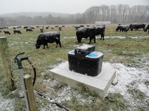 The ABCs of Livestock Production | | lancasterfarming.com
