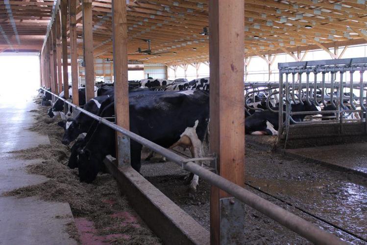 Folks at Lehi Creek Farm Have Grown Fond of Robot | Farming and ...