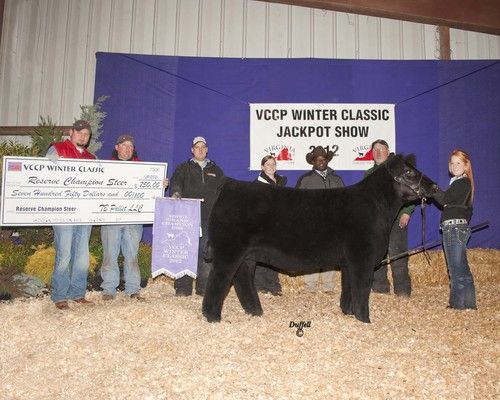 Virginia Club Calf Show Enjoys Record Turnout | | lancasterfarming.com