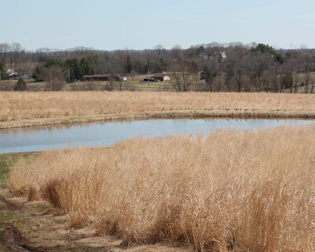 Switchgrass Group Develops On-Farm Biofuel Processing | Farming and ...