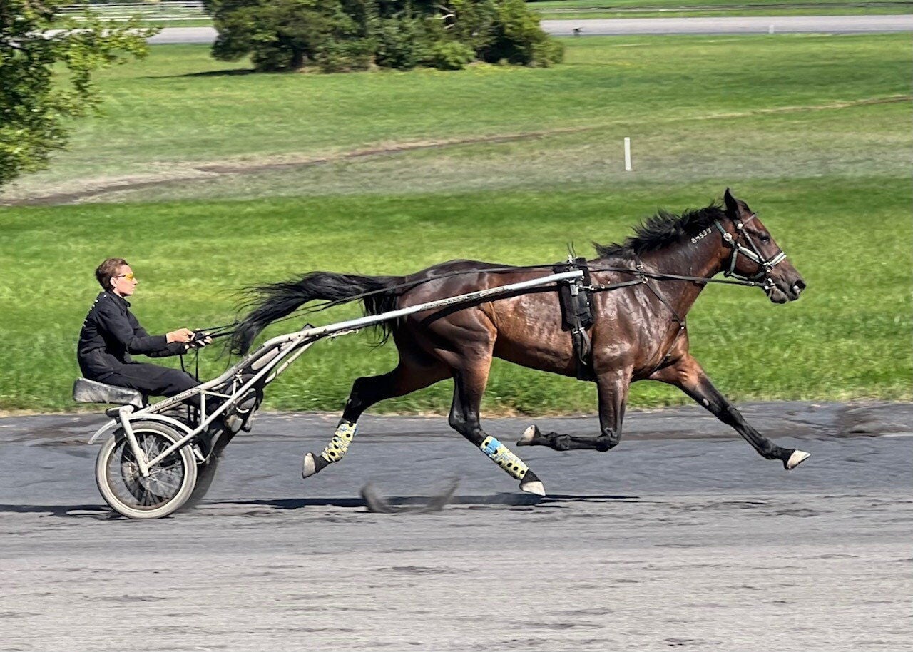 Trainers Saddened by Closure of Freehold Raceway, Which Launched ...