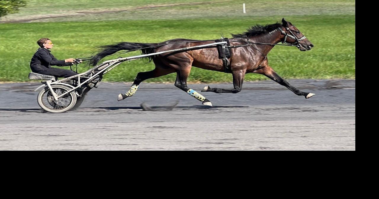 Trainers Saddened by Closure of Freehold Raceway, Which Launched ...