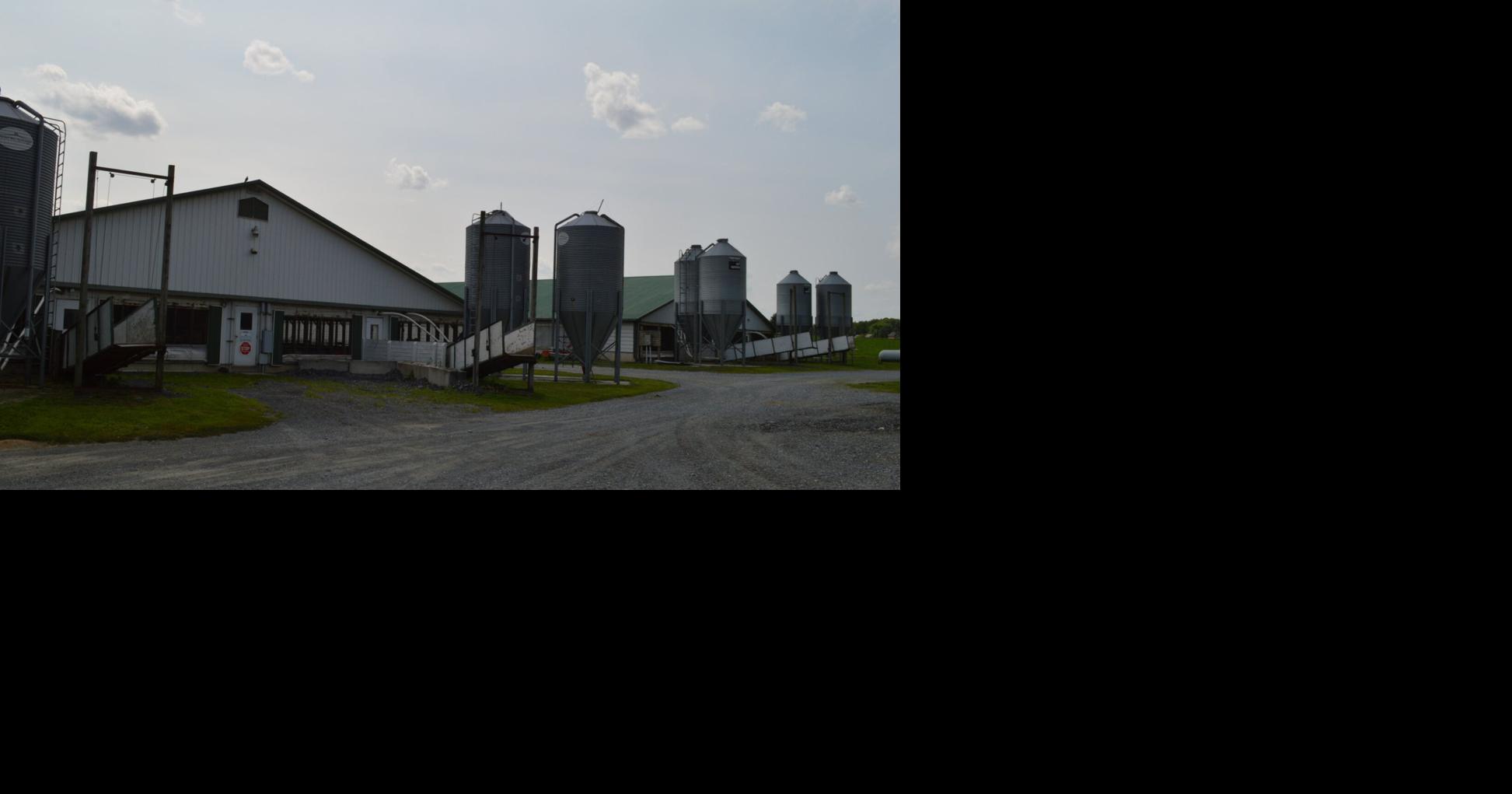 Using Sensors in Swine Houses to Improve Pork Production | Livestock ...
