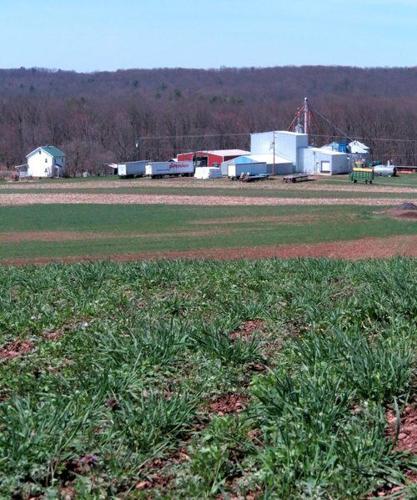 Growing Spelt Market Powers a Diversified Organic Farm | Farming and ...