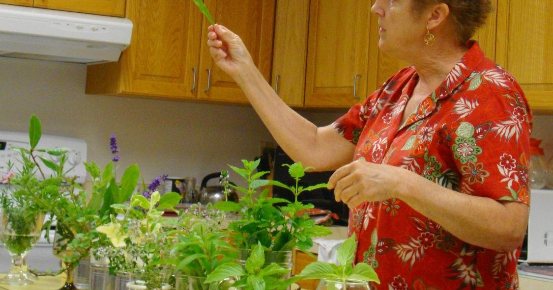 Sweeten the Pot — and the Pitchers, Pans and Cookie Sheets — With Herbs ...