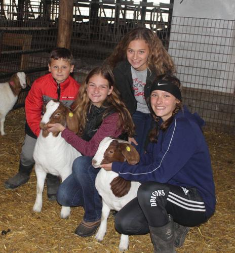 Collaboratively, Heltzels Prepare Boers for Farm Show | Farm and Rural ...
