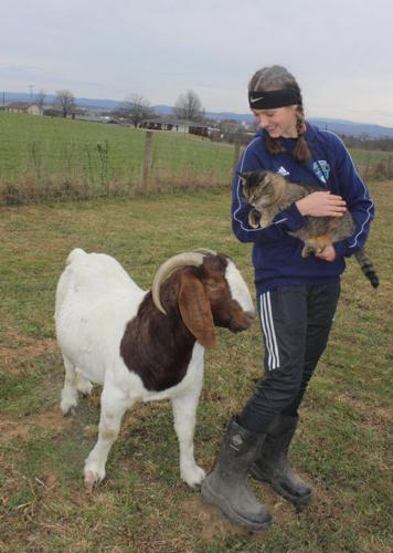 Collaboratively, Heltzels Prepare Boers for Farm Show | Farm and Rural ...