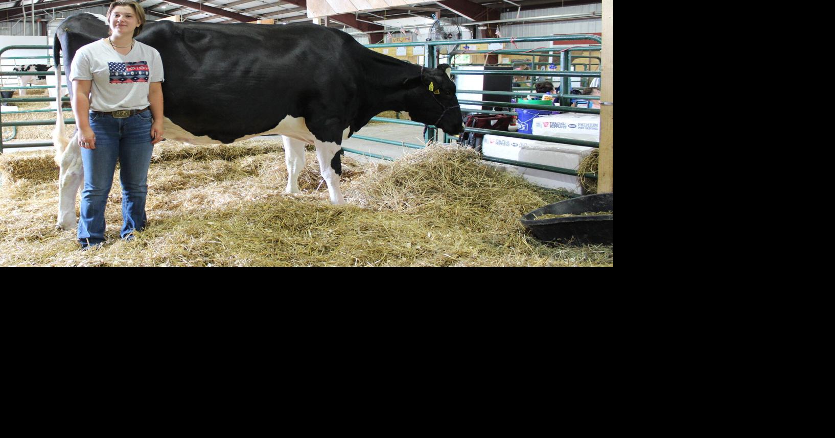 16-Year-Old Is the Fourth Generation to Show Maplelawn Cows at Wayne ...
